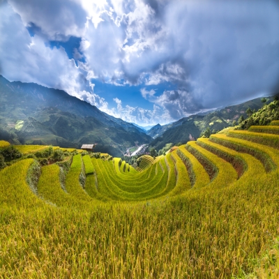 Rice Terraces hd wall - KDE Store