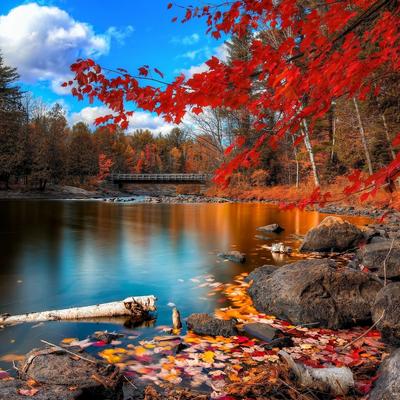 Bridge Fall Lake Leaf Nature Rock Tree Water Autumn HD - KDE Store