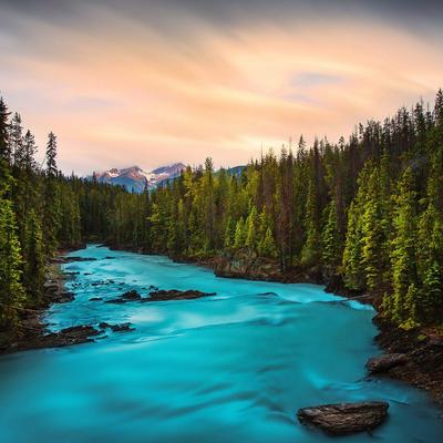 Mountain Stream Waterfall Rocks Green Pine Forest hd - KDE Store