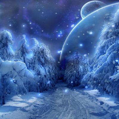 Snowy Fantasy Winter Landscape Pine Tree Trees Under Snow hd - KDE Store