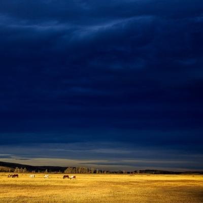 storm dark clouds clouds hd wall - KDE Store