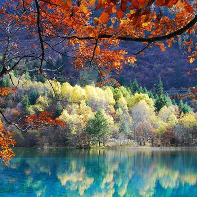 autumn path park foliage HD Wallpaper - KDE Store