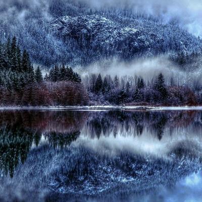 fog forest hdr mountains reflection Trees winter hd - KDE Store