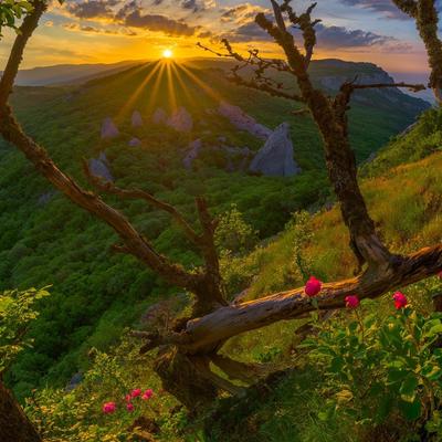 sunrays Sunset evening HD Wallpaper - KDE Store