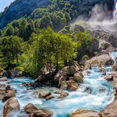 nature beautiful forest - KDE Store