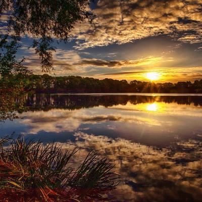 nature sunset sunset sunset beauty - KDE Store