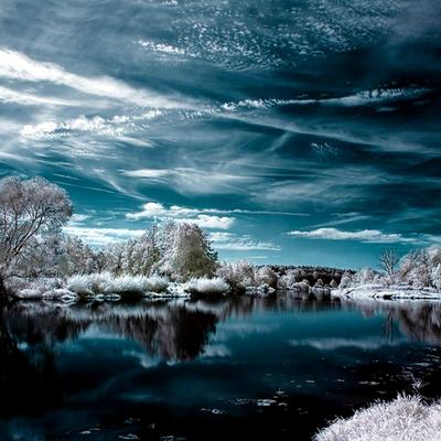 trees lake snow winter reflection frost trees lake - KDE Store