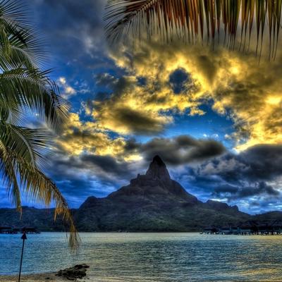 clouds Palm Trees sea - KDE Store