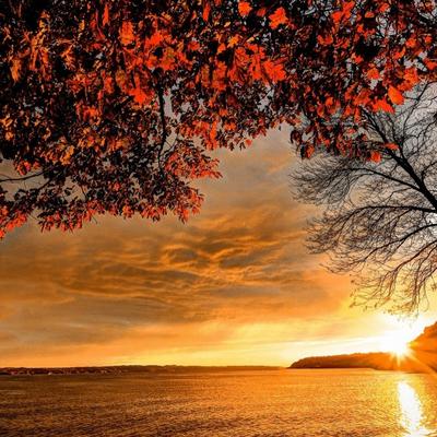 autumn beach Coast lake landscape ocean sea sky sunset - KDE Store