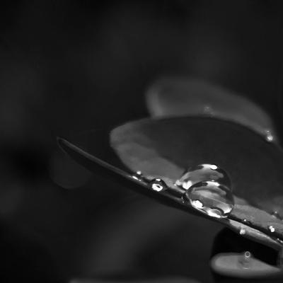 Water Drop - KDE Store