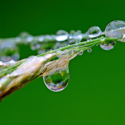Water Drop - KDE Store