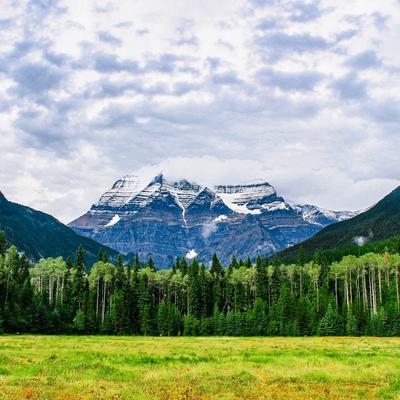 green-trees-on-foot-of-frosted-mountain - KDE Store