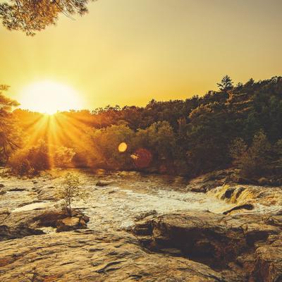 sunray-through-trees - KDE Store