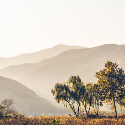 green-trees-near-mountain - KDE Store