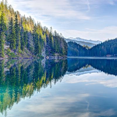 green-pine-trees-near-body-of-water - KDE Store