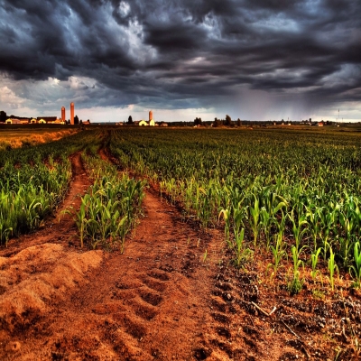 Crops NATURE HD Wallpaper - KDE Store
