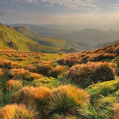 sunrays mountain green landscape - KDE Store