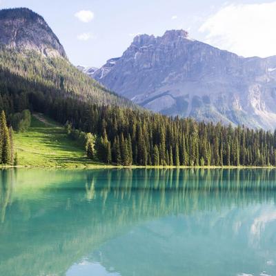 lake lake tree - KDE Store