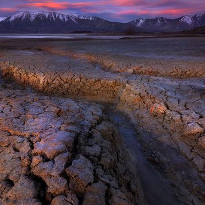 lake rock dry tree - KDE Store