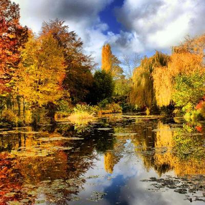 Lovely Calm Lake Falling Nice Fall Leaves Beautiful hd wall - KDE Store