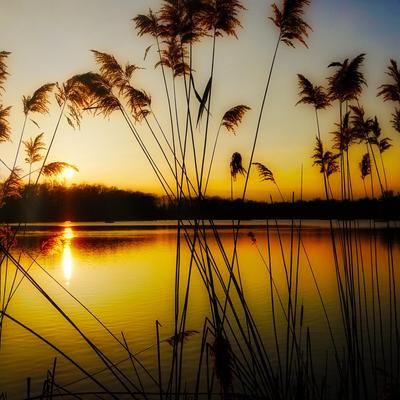 sunset evening lake reflection - KDE Store