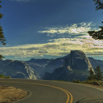 rode tree - KDE Store