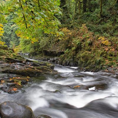 Nature River Forest Rocks Fall Autumn - KDE Store