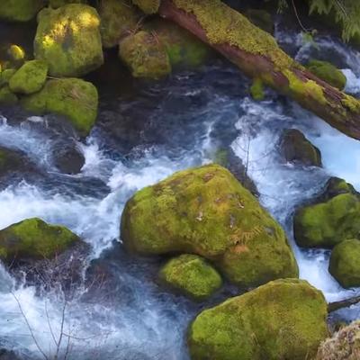 River Mckenzie Oregon Tamolitch Pool Aka Blue Pool Wall - KDE Store
