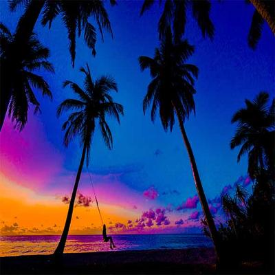 COCONUT TREES - KDE Store
