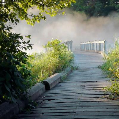 Beautiful Nature Path - KDE Store