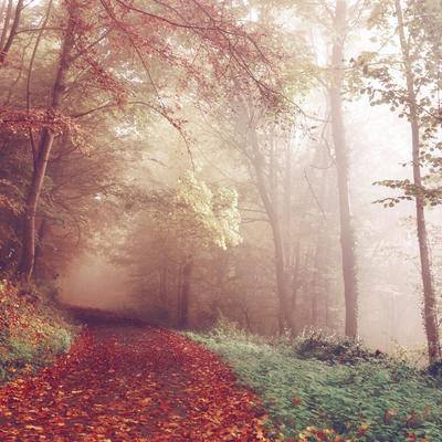 Beautiful Path - KDE Store