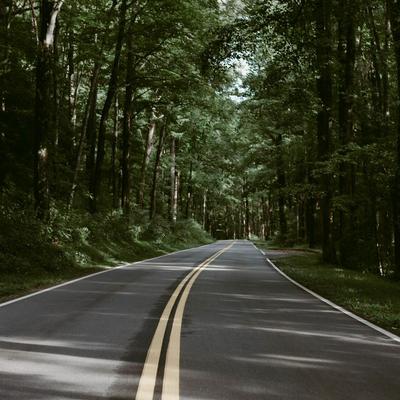 Beautiful Path - KDE Store