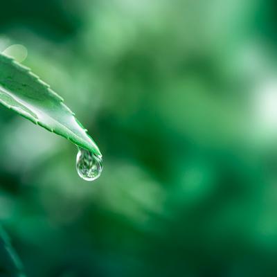 Creative - KDE Store