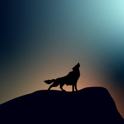 Wolf Howling hd - KDE Store