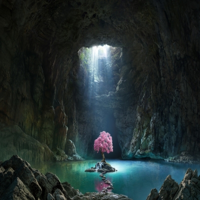 Pink Tree Blossom Cave Lake Nature wallpaper - KDE Store