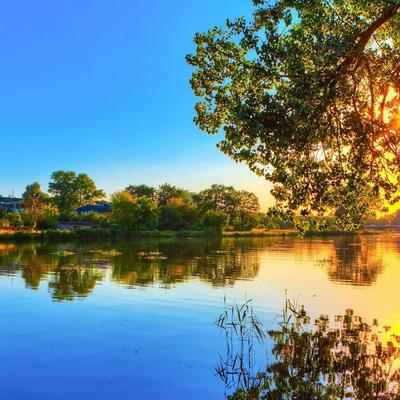 Sunrays Lake Reflection Sunset Evening Desktop Wallpaper - KDE Store