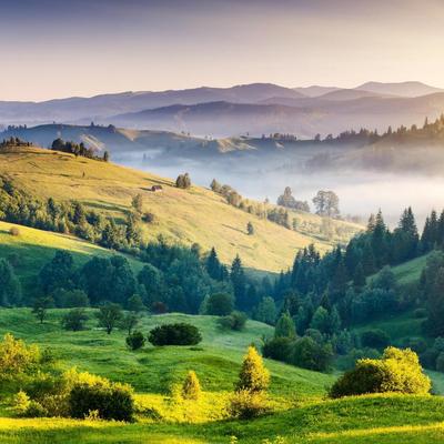 Nature Green Landscape Reflection Sunrays HD WALLPAPER - KDE Store