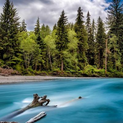 Nature Lake Reflection Pine Forest HD WALLPAPER - KDE Store