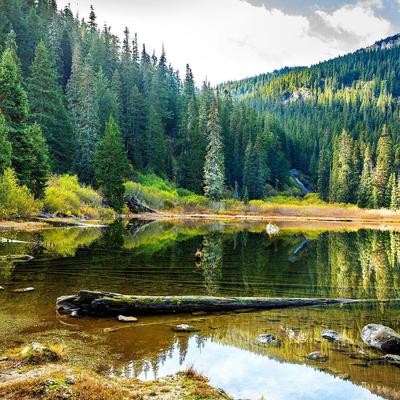 Nature Lake Reflection Pine Forest Mountain HD WALLPAPER - KDE Store