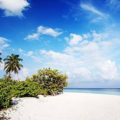 Nature Beach Reflection Sand Sky HD WALLPAPER - KDE Store