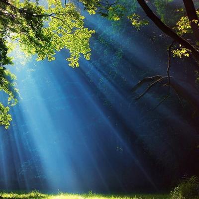 Amazing Nature Forest Mountain sunrays Desktop Wallpaper - KDE Store