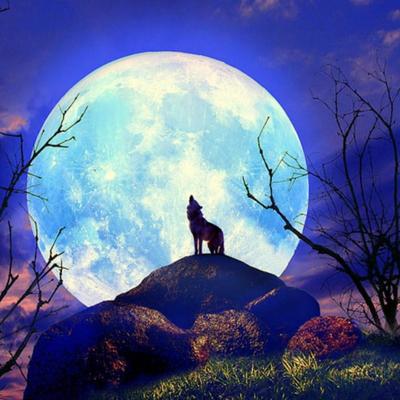 Moon nature sky moonlight wolf howling wolf howling hd - KDE Store