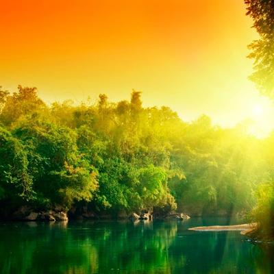 sunrays over trees lake reflection HD Wallpaper - KDE Store