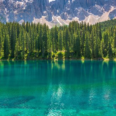 Lake Reflection Pine Forest HD Wallpaper - KDE Store