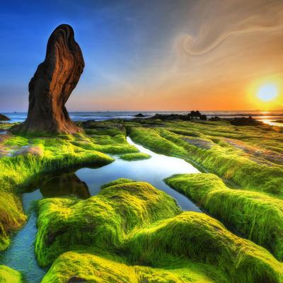 Beautiful Wallpaper - KDE Store