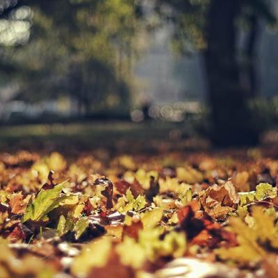 Beautiful Nature - KDE Store