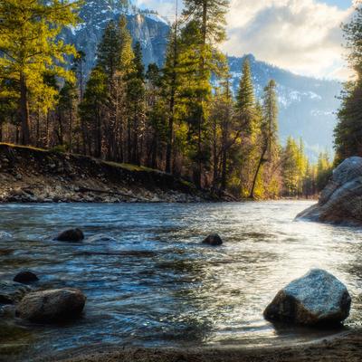 Sandy beach by the river in the forest - KDE Store