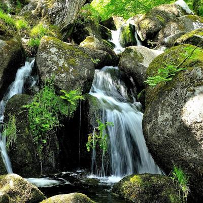 Water Fall and forest Images - KDE Store