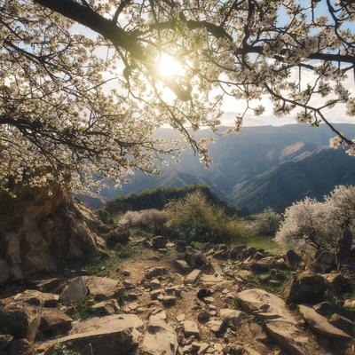 sunrays nature mountain - KDE Store