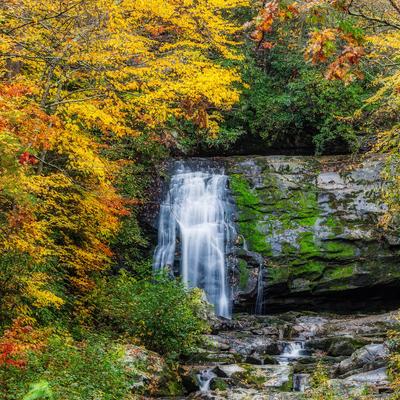 Autumn Fall Foliage Forest Lake Nature HD Background - KDE Store